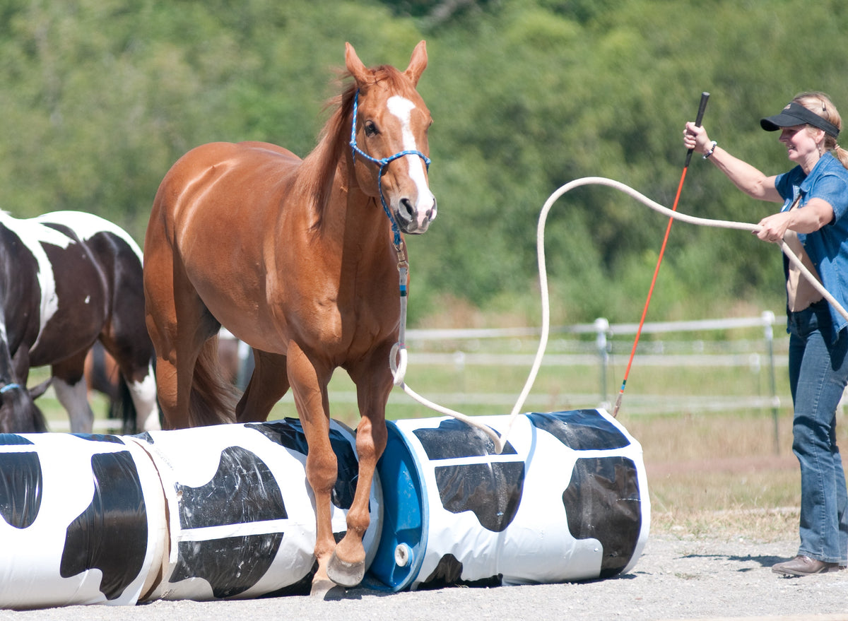 Cow-Spot Barrel Covers – NWNHC Store