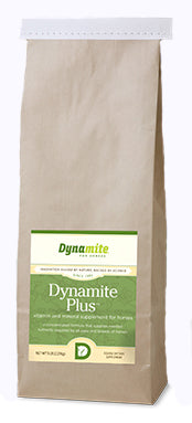 Dynamite Plus – NWNHC Store